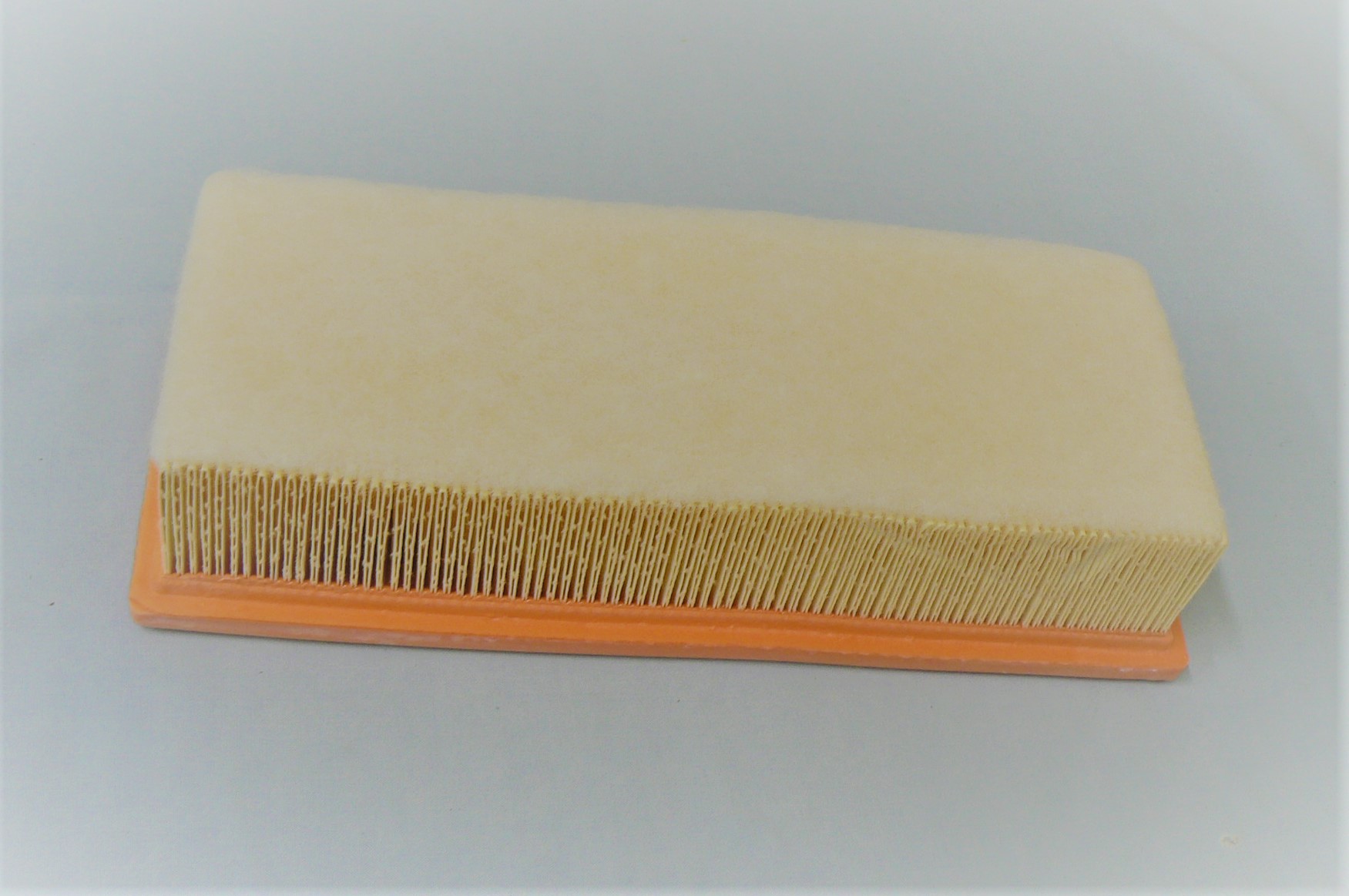 A111E6022S (111E6022) AIR FILTER ELEMENT (Lotus)